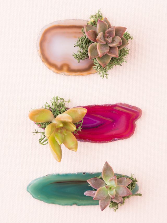 Easy and fun succulents wedding favors you can make | Succulents and ...