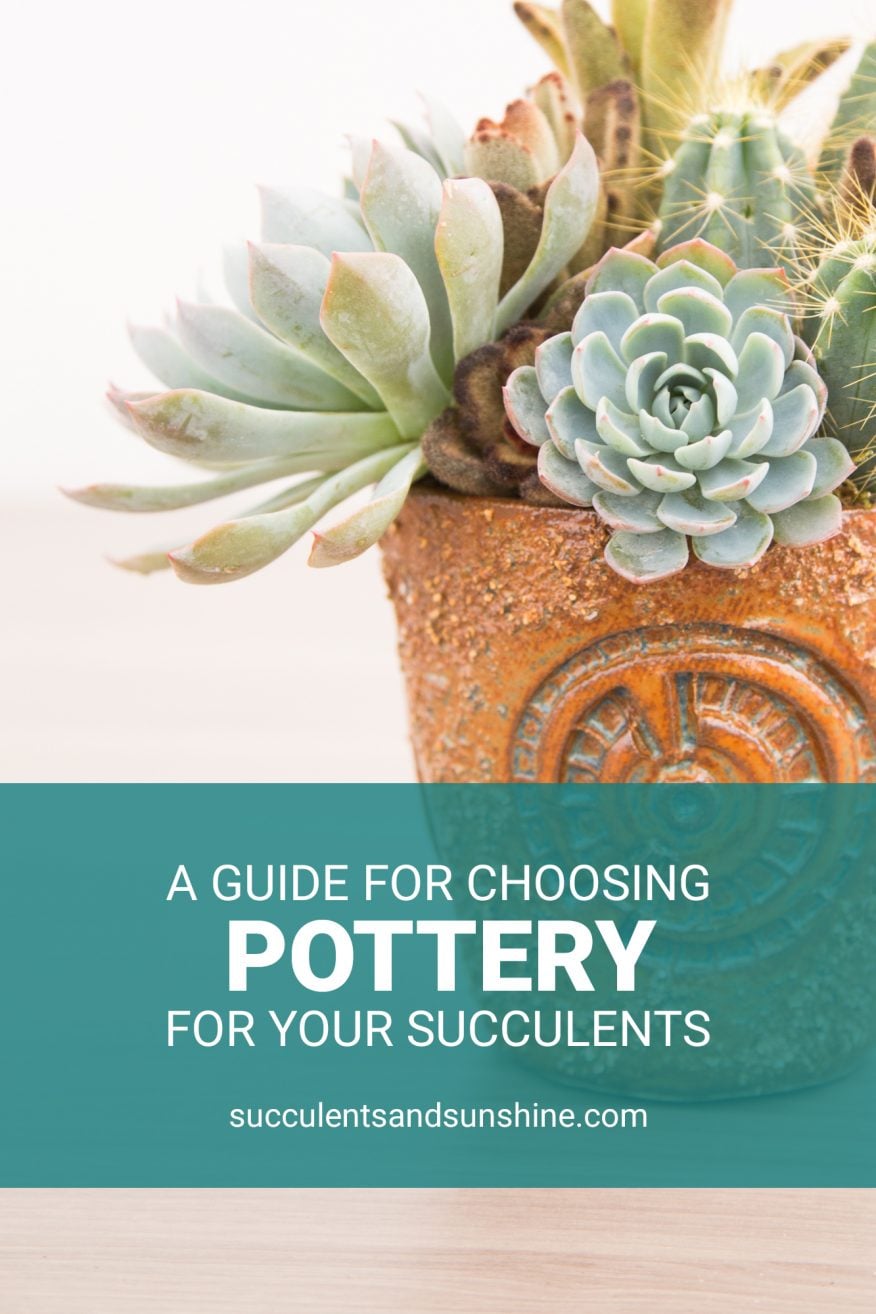Choosing the Right Pot for your Succulents | Succulents and Sunshine