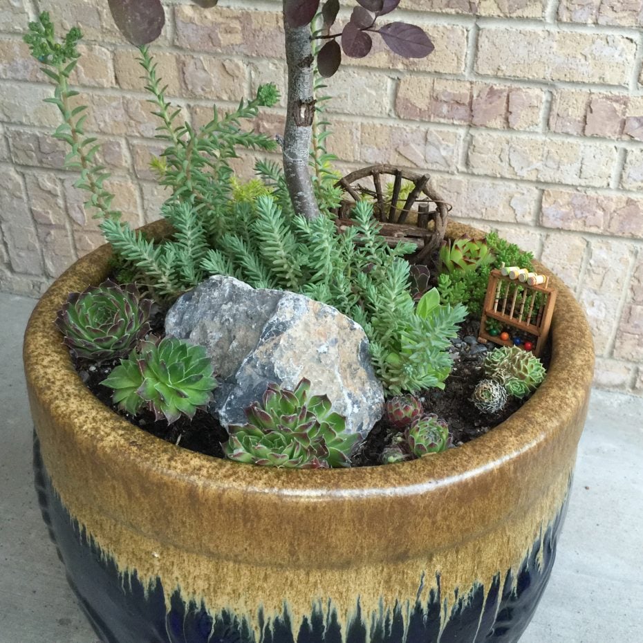Miniature Succulent Garden Ideas | Succulents and Sunshine