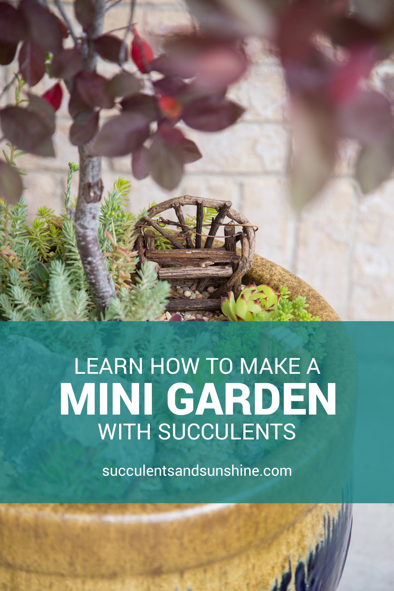 Miniature Succulent Garden Ideas | Succulents and Sunshine