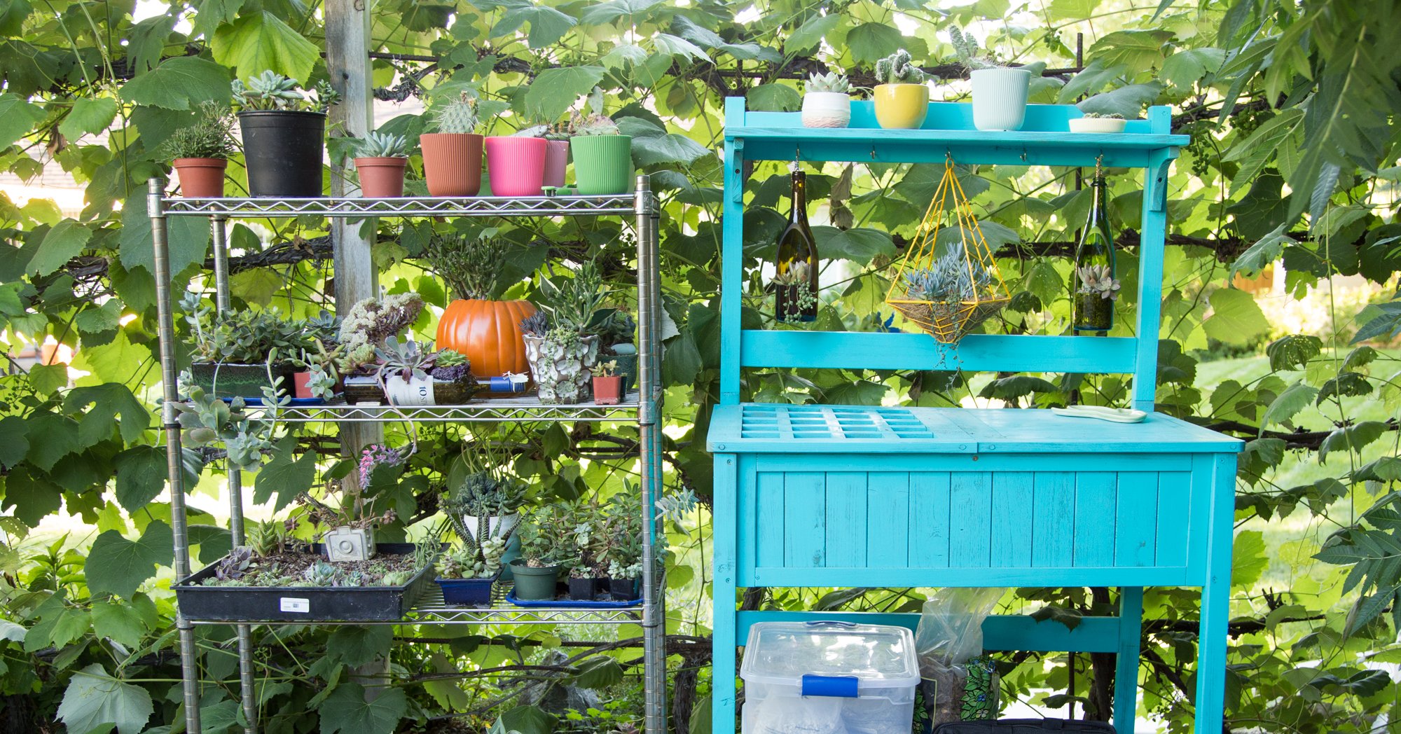 Garden Organization Ideas: How to keep your potting area tidy ...