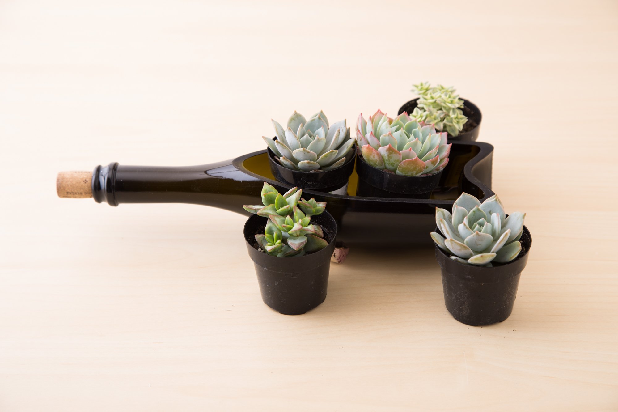 DIY Wine Bottle Planter for Succulents | Succulents and Sunshine
