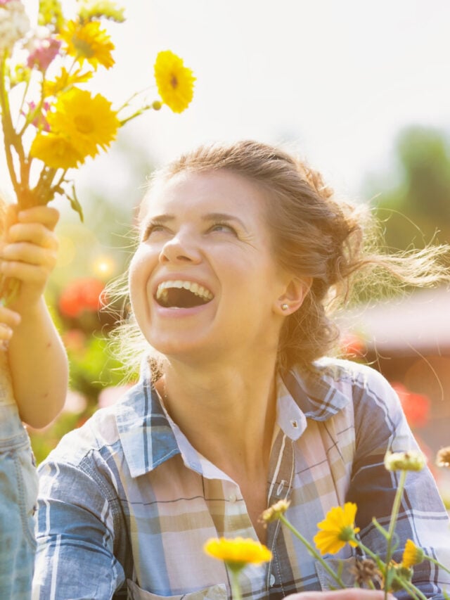 Plant These Gorgeous Self-Seeing Flowers Once, And Enjoy Them Forever ...