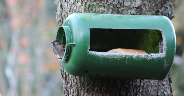 10 Unexpected And Unique Birdhouses | Succulents and Sunshine