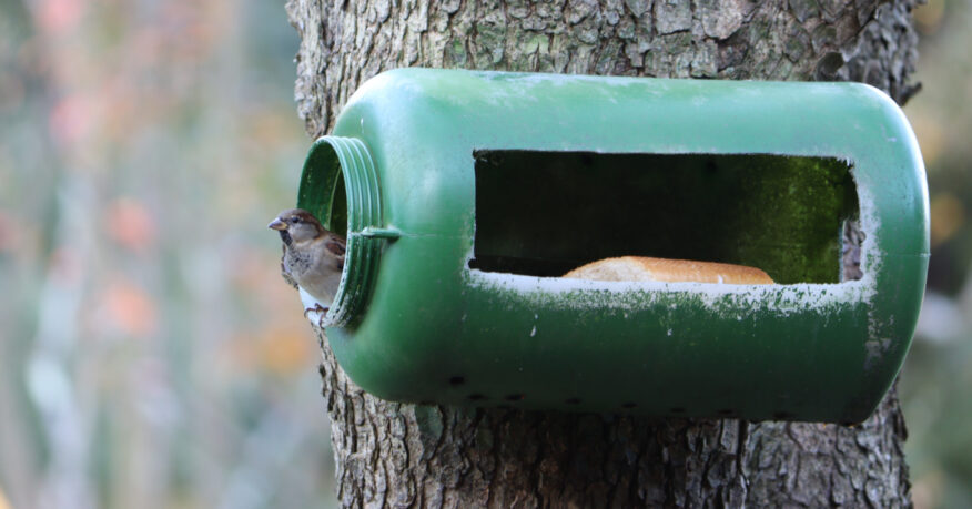 10 Unexpected And Unique Birdhouses | Succulents and Sunshine