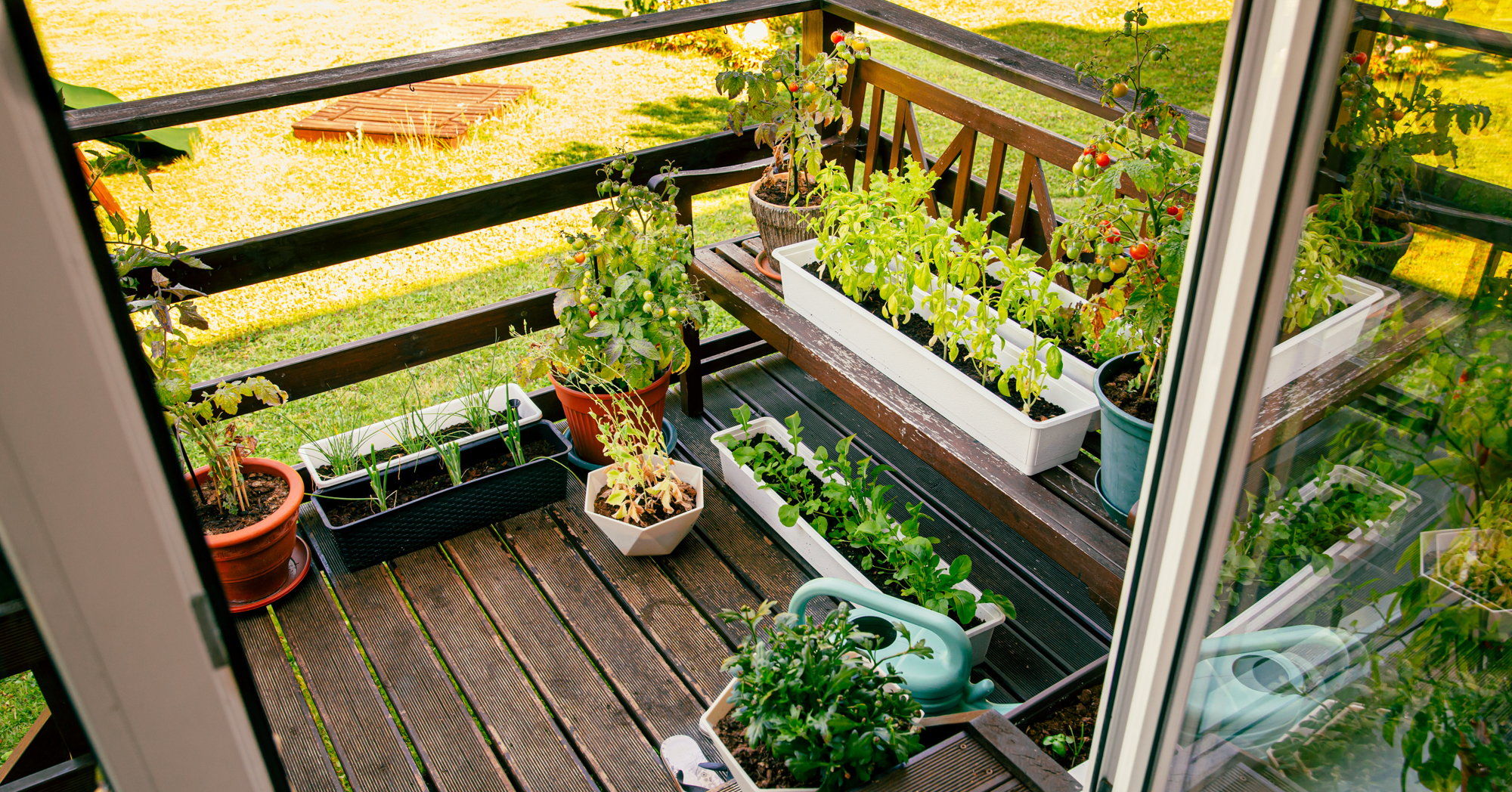 Small Space Vegetable Garden: A Recipe For Success! | Succulents and ...