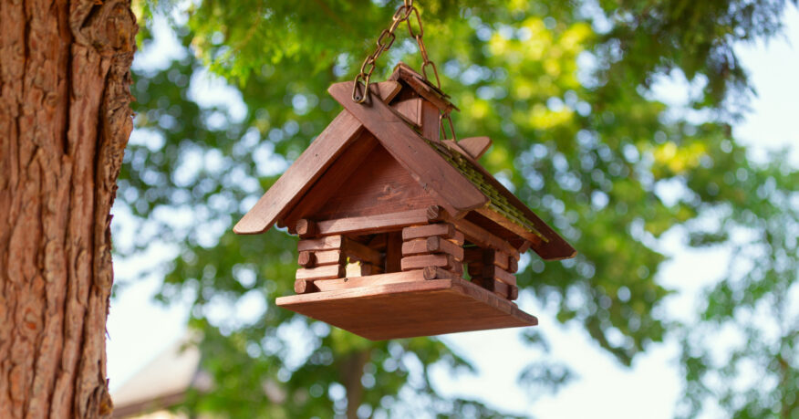 10 Unexpected And Unique Birdhouses | Succulents and Sunshine